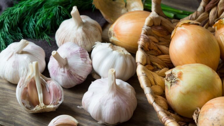 20 Shocking Cooking Facts That Will Change Your Kitchen Forever