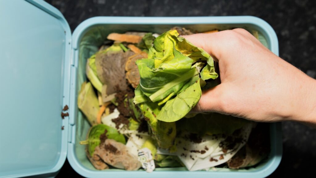 5 Ways Sustainable Eating Can Save You Up to 14% in Food Costs