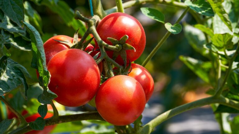 15 Bedtime Fruits That’ll Have You Sleeping Like a Baby (And Not Waking ...
