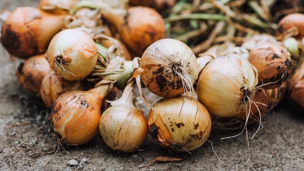 10 Ingredients That Can Instantly Take Your Cooking From Good to Great