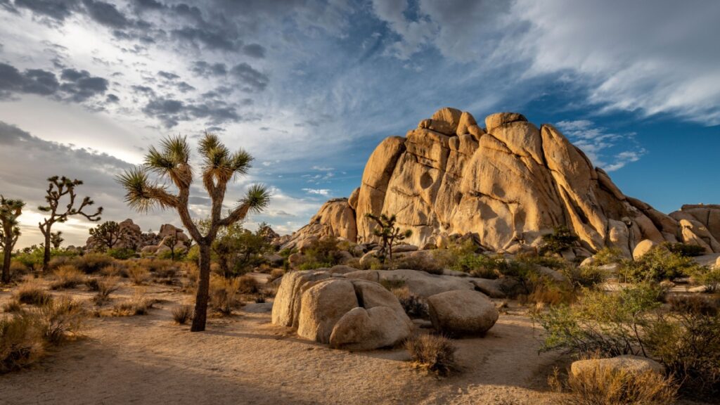 15 Stunning Places You Have to See in the American Desert Southwest