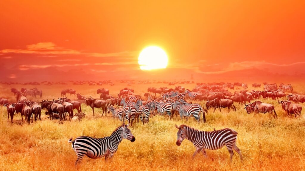 30 Breathtaking Places You Must See Before You Die