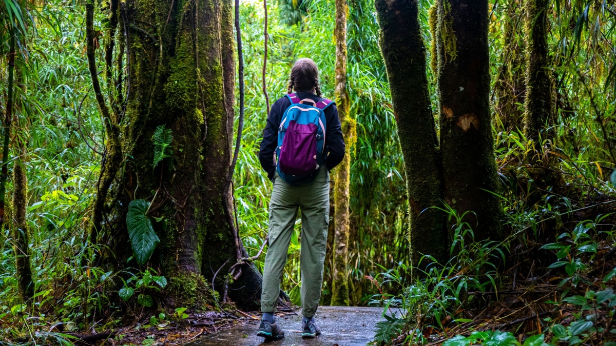 20 U.S. National Parks Everyone Should Visit At Least Once In Their ...