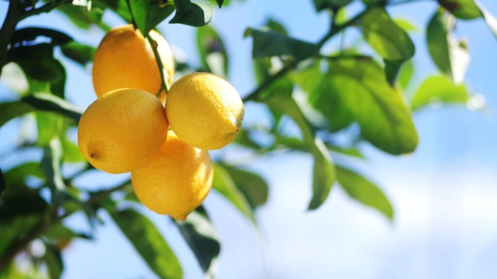 15 Fruits You Should Definitely Try to Eat Frozen (Not Fresh)