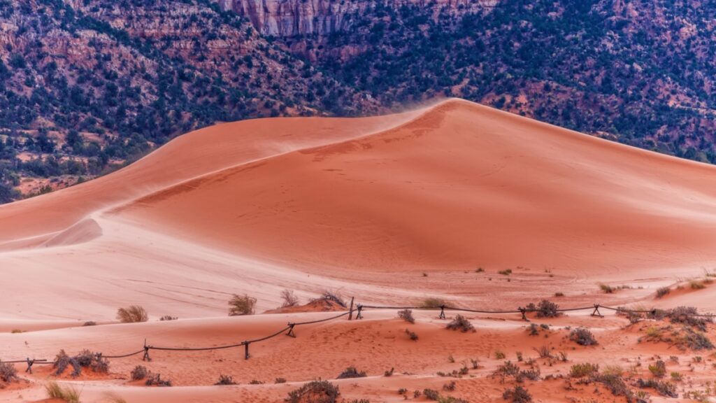 13 Great Places in the U.S. To Enjoy Sand Dunes (That Aren’t the Beach)