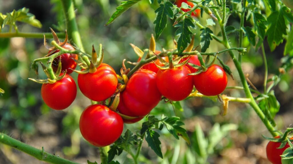 15 Foods You Should Never Ever Eat Before Bed