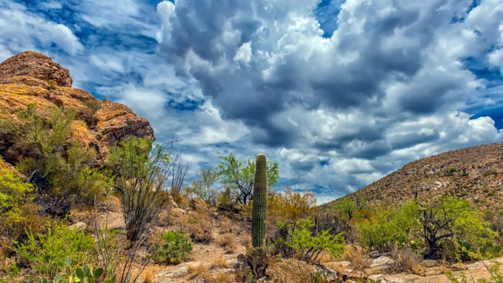15 Stunning Places You Have to See in the American Desert Southwest