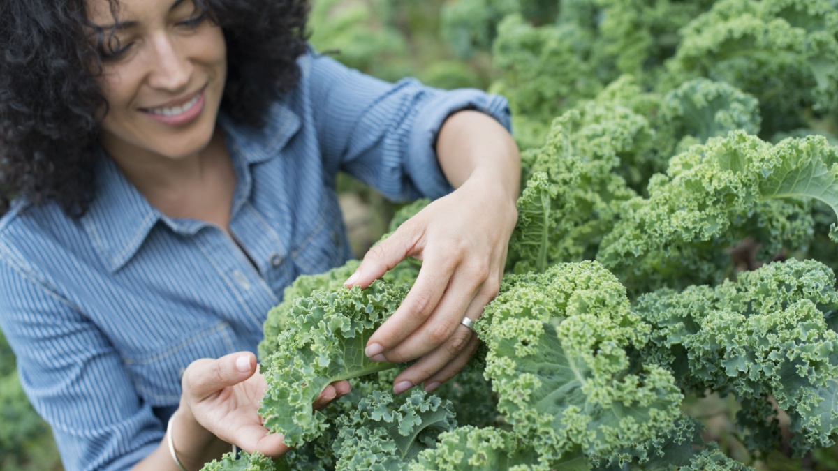 20 Kale Recipes You Won't Be Able to Get Enough Of