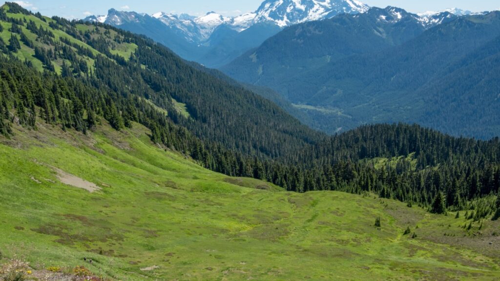 15 Beautiful Snow-Capped Peaks in the U.S. That Will Leave You Breathless