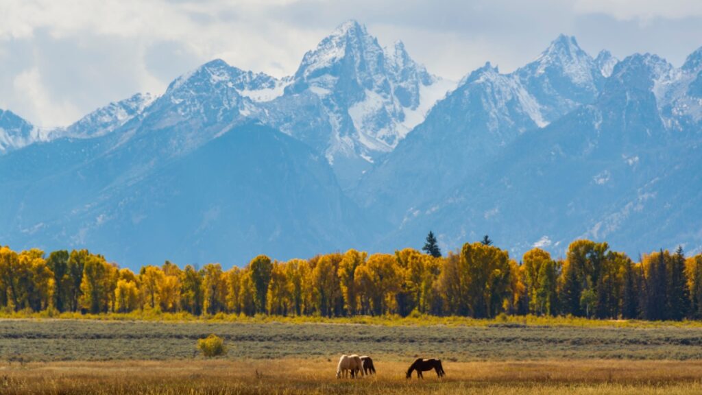 13 Most Stunning Mountain Ranges in the World You Need To Hike