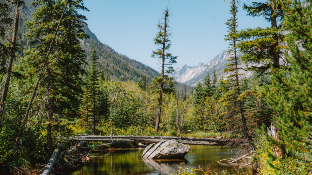 15 Natural Arches and Bridges in the U.S. Everyone Should See